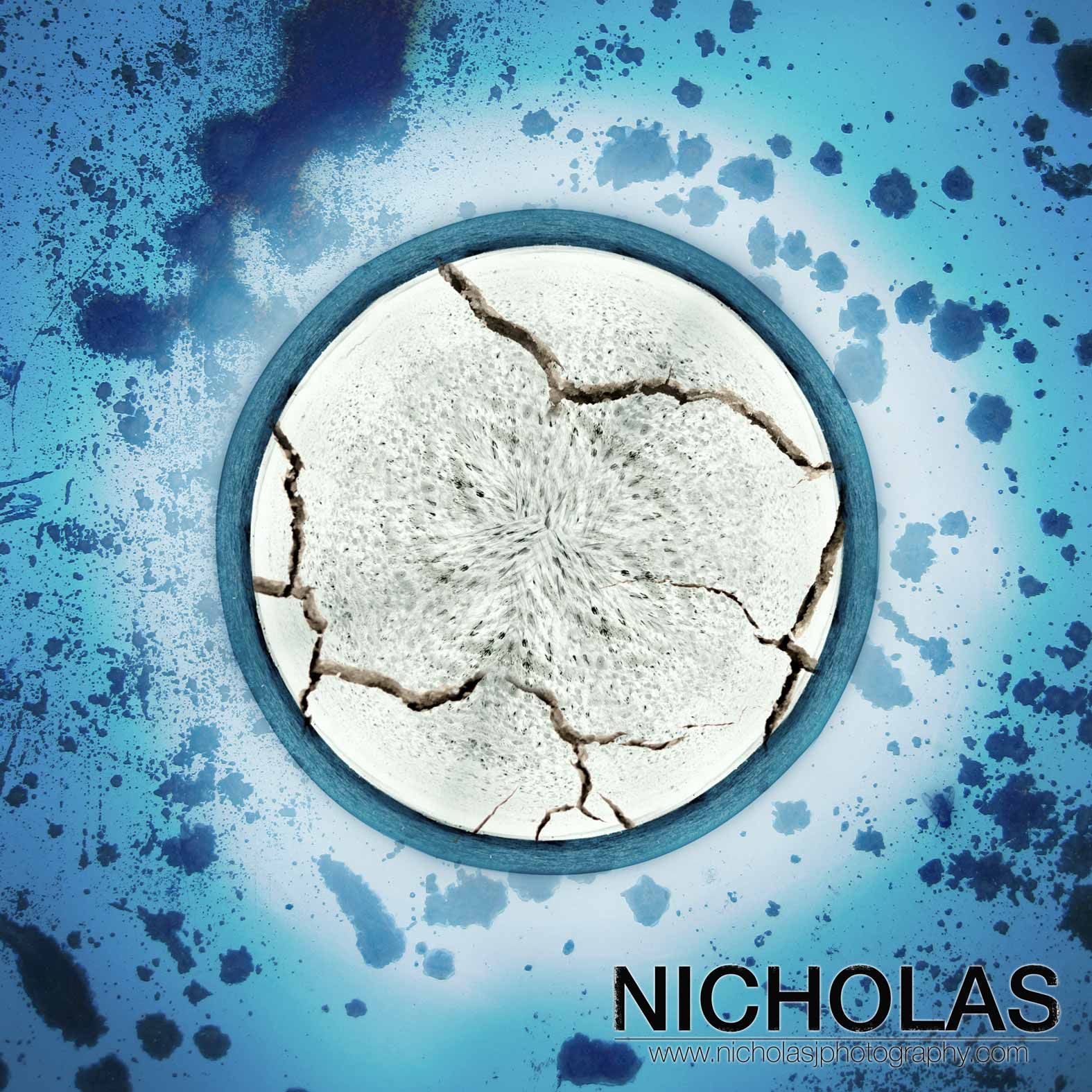 NJ Productions - The Evolution of Warped Worlds